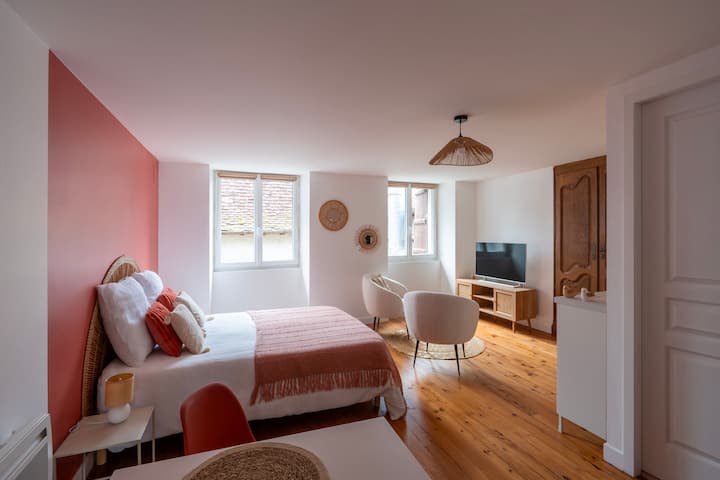 Studio Cocon Au Cœur De Salies — Proche Thermes - Salies-de-Béarn