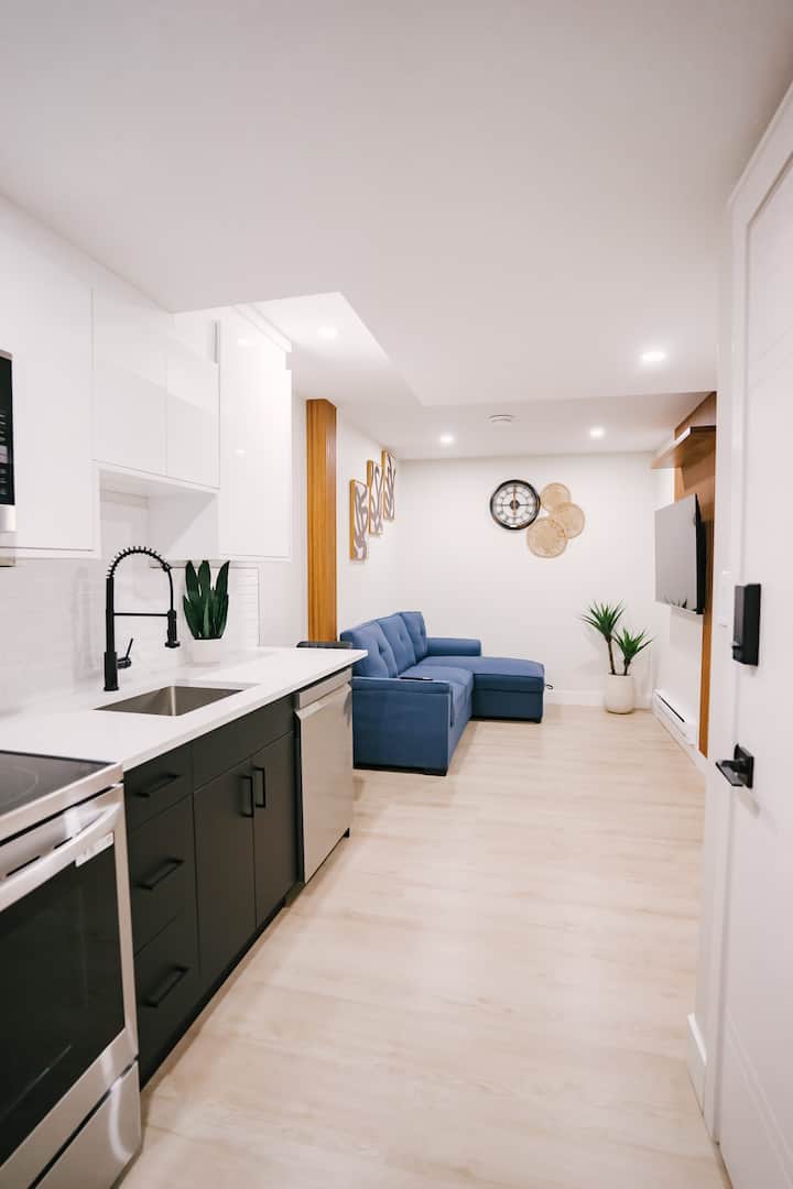 Modern & Stylish 1br Suite - Regina
