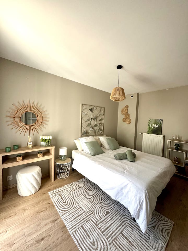Chambre Cosy Avec Terrasse - Saint-Étienne
