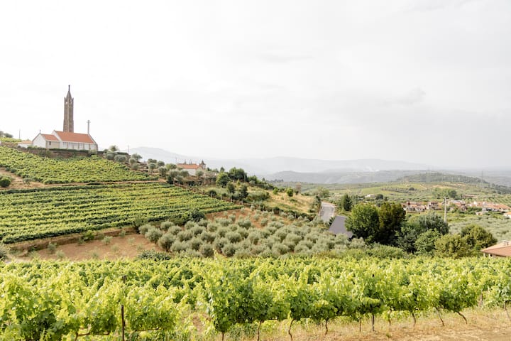 Casa Das Nogueiras - Moimenta da Beira