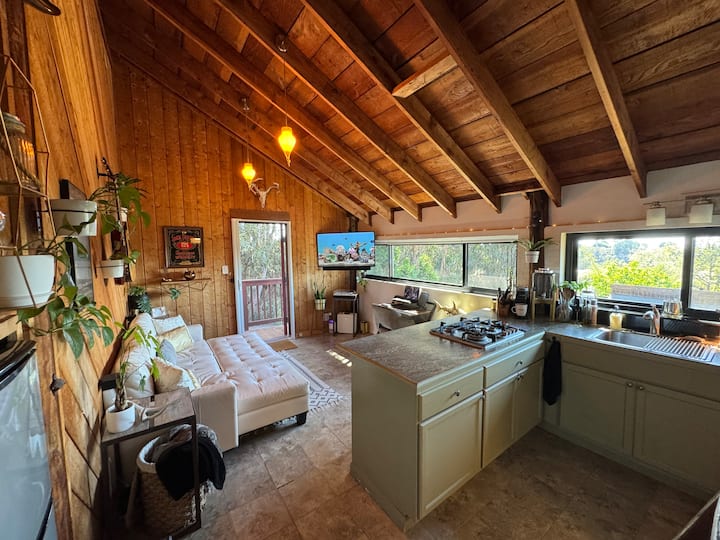 Ocean View Cabin Loft - Encinitas, CA