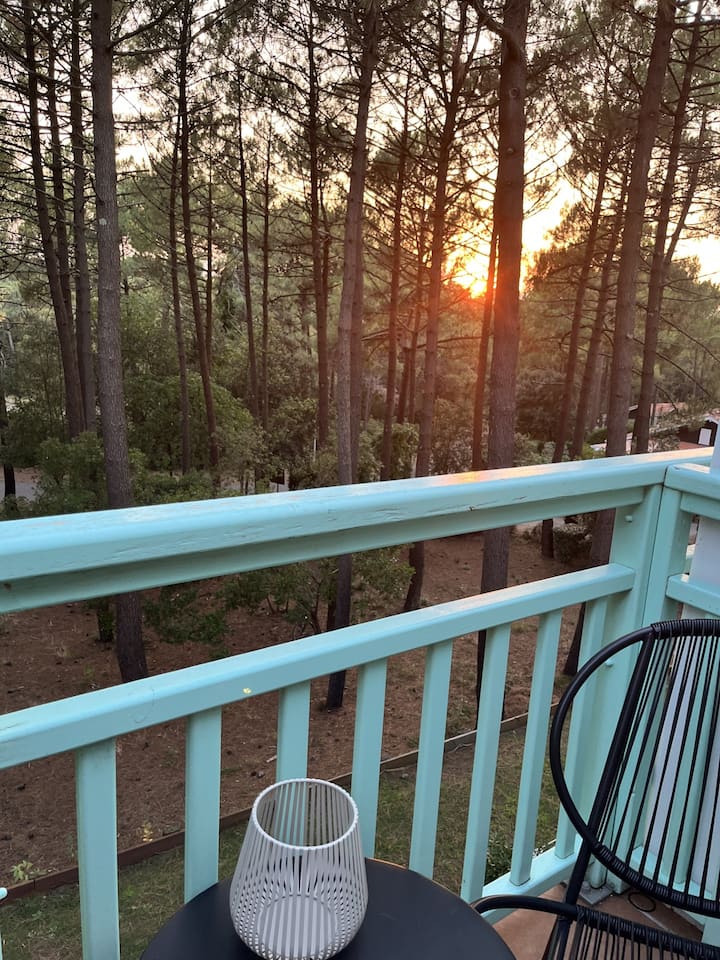 La Perle Des Pins Vue Incroyable - Lacanau