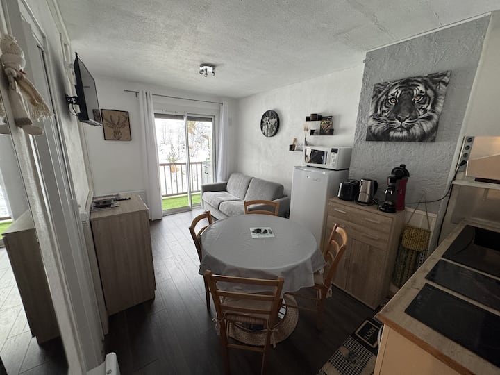 Studio Cabine Au Pied Des Pistes / Les Angles - Les Angles