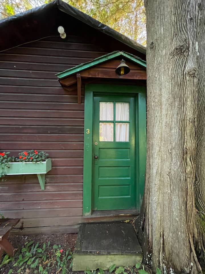 Cozy Rustic Adirondack Cabin Near Lakes/trails - Saranac Lake, NY