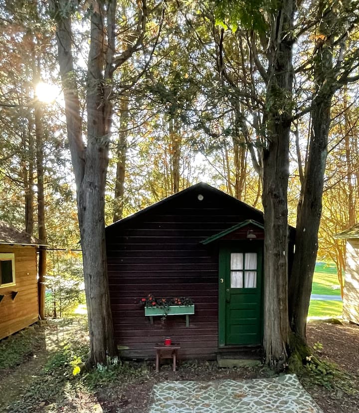 Cozy Rustic Adirondack Cabin Near Lakes/trails - Saranac Lake, NY