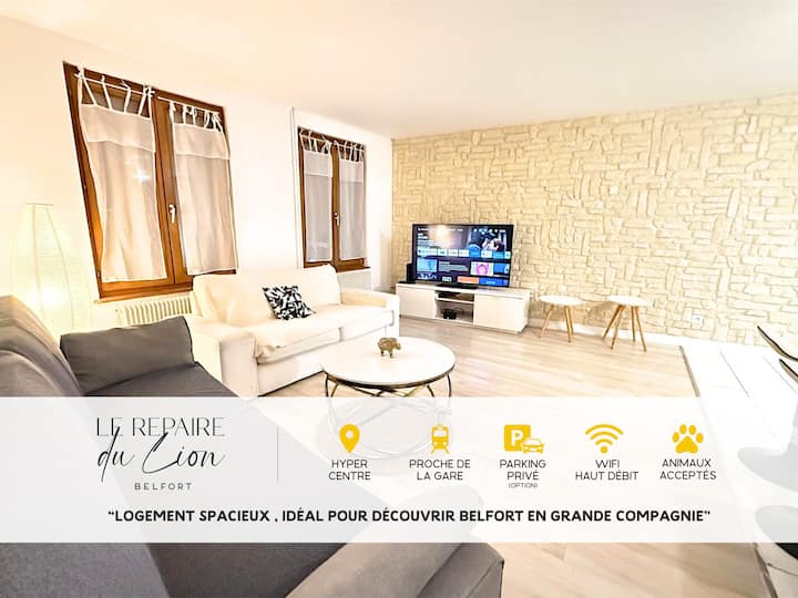 Le Repaire Du Lion - Hyper Centre - Wifi - Belfort