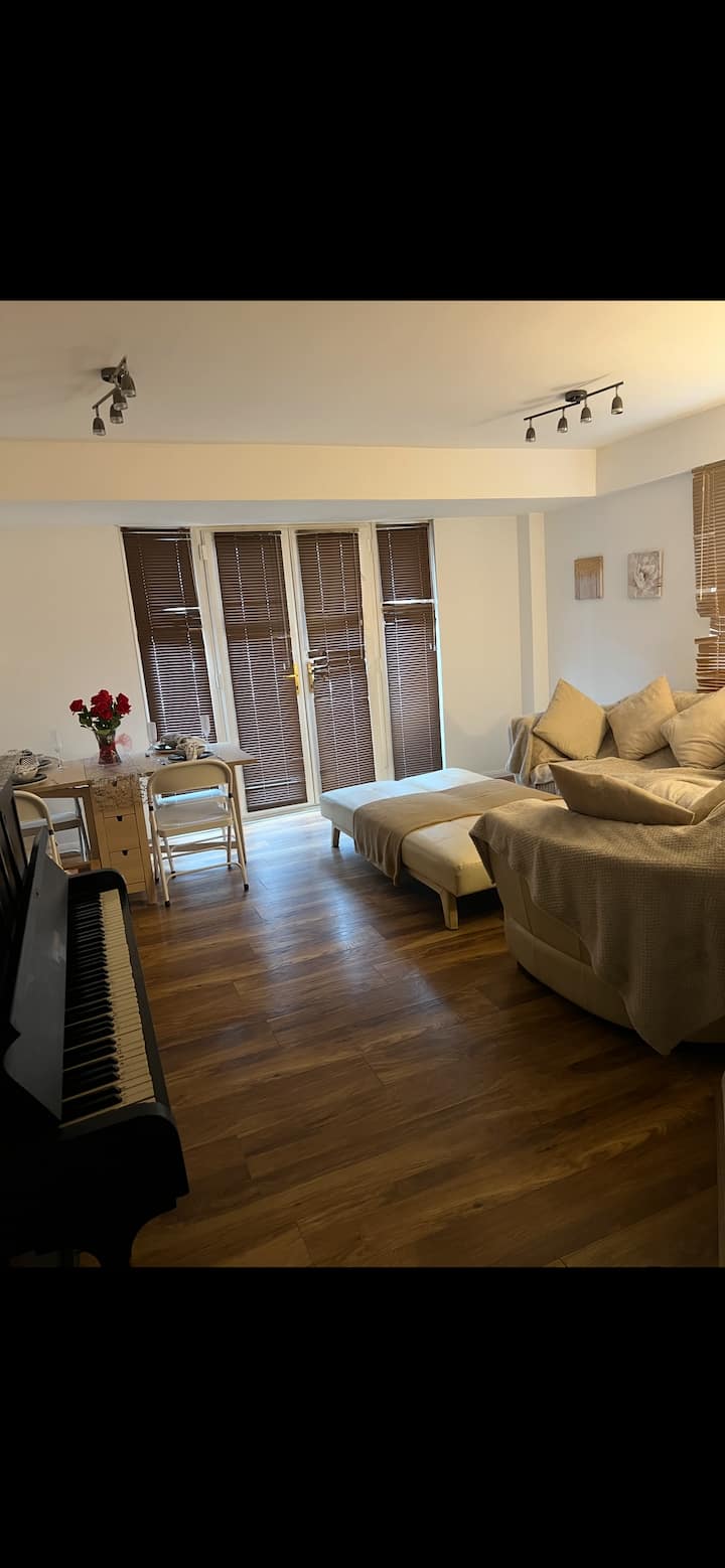 Spacious Canary Ap | Sleeps 6 & Free Gated Parking - London