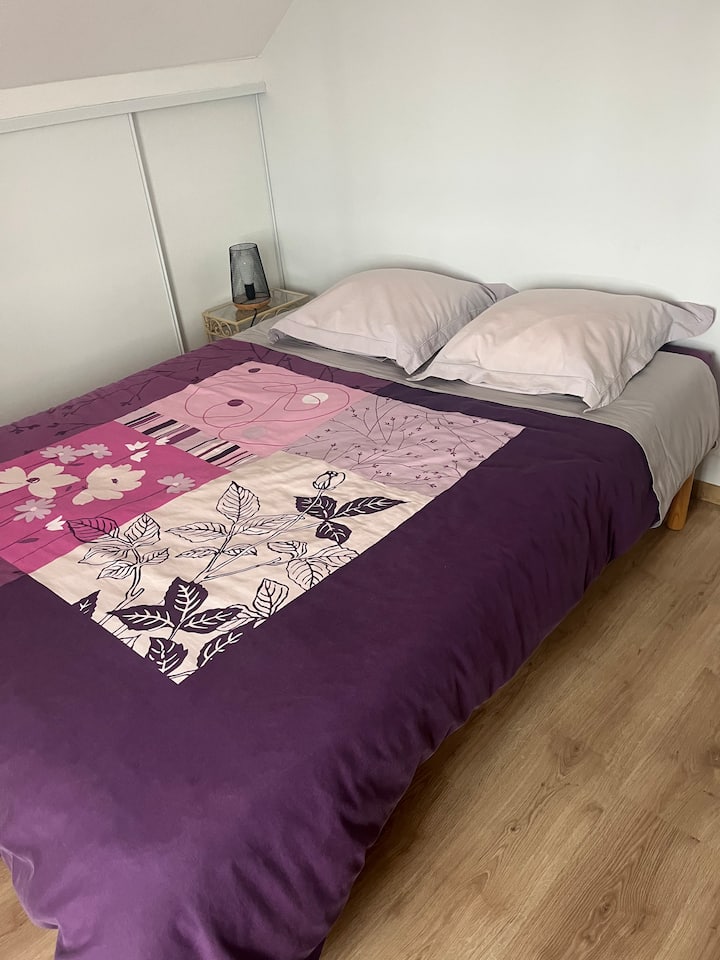 Loue Chambre Dans Une Maison Individuelle. - Fougères