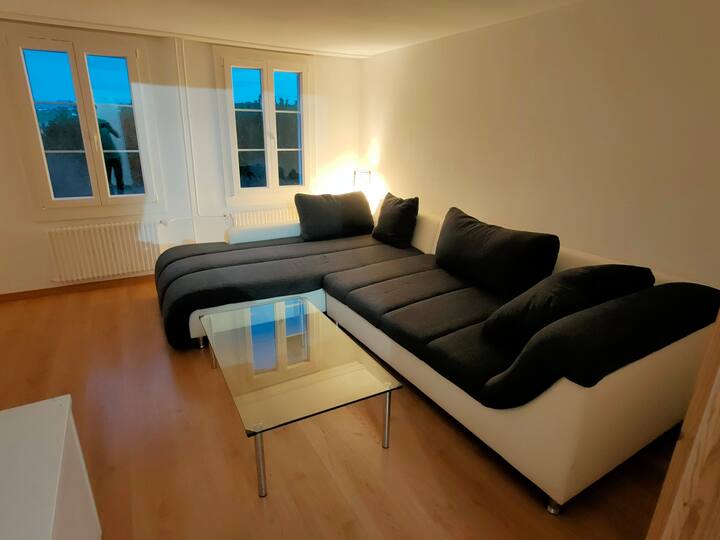 80 M² Avec Cuisine, Salon, Lave-linge Sèche-linge - Fribourg