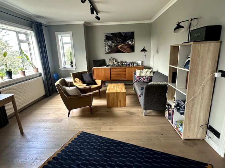 Cosy Apartment In Reykjavík - Reykjavík