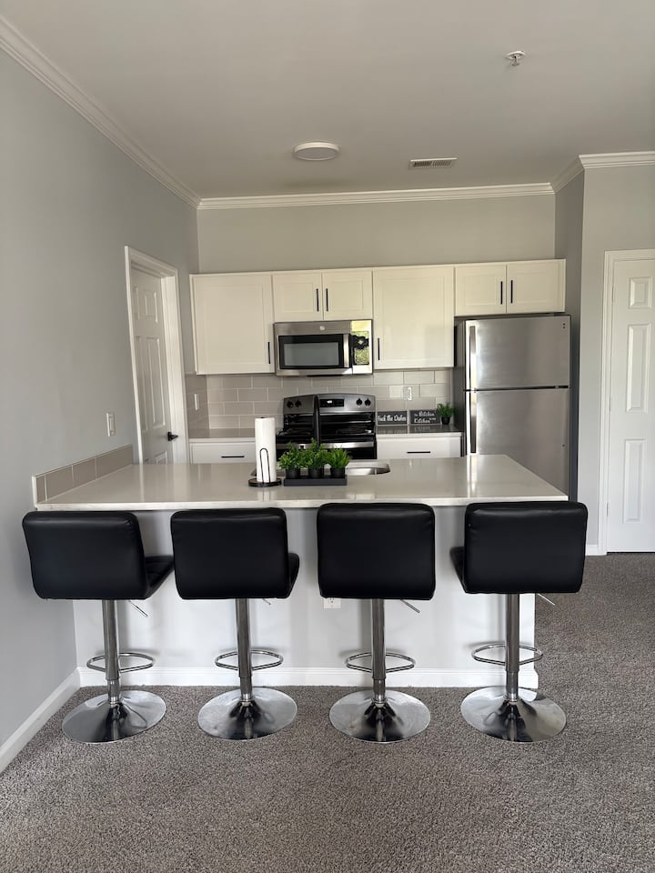 Cozy & Luxurious Apartment In Charlotte Nc— - Concord, NC
