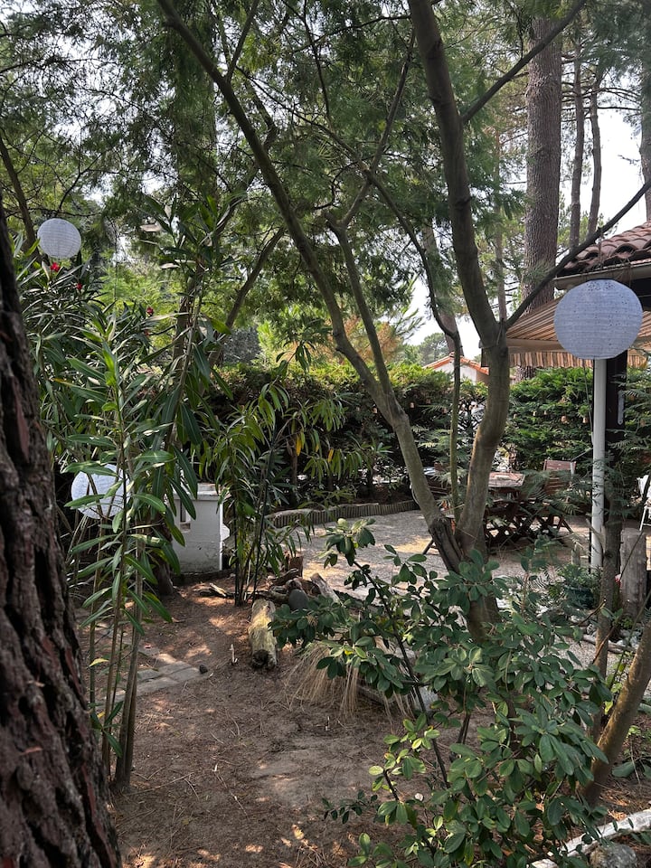 "La Petiote" Maison La Palmyre Résidence Privée - La Palmyre