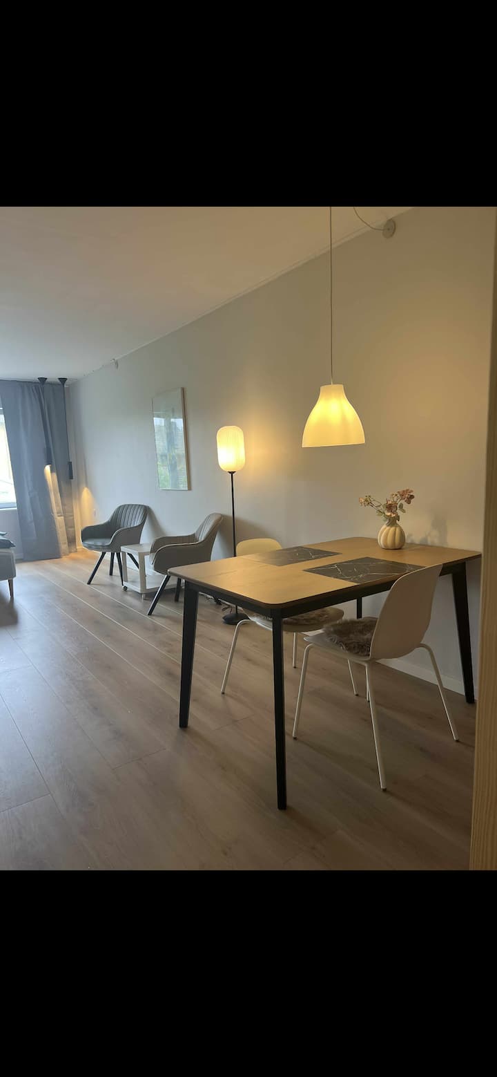 Lille & Hyggelig Lejlighed - Odense