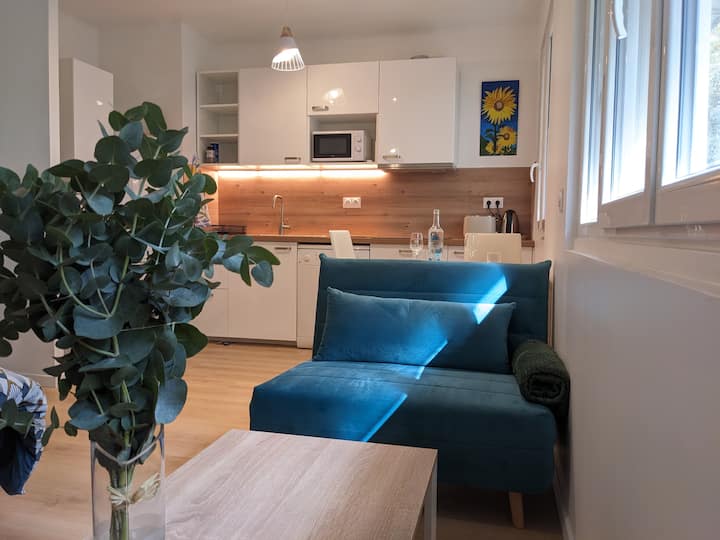 Studio Neuf & Lumineux - 1 Mn Rer A Paris & Disney - Nogent-sur-Marne