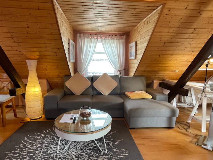 Große Loftwohnung Nahe S-bahn – 5 Min Zum Hbf - Dresden