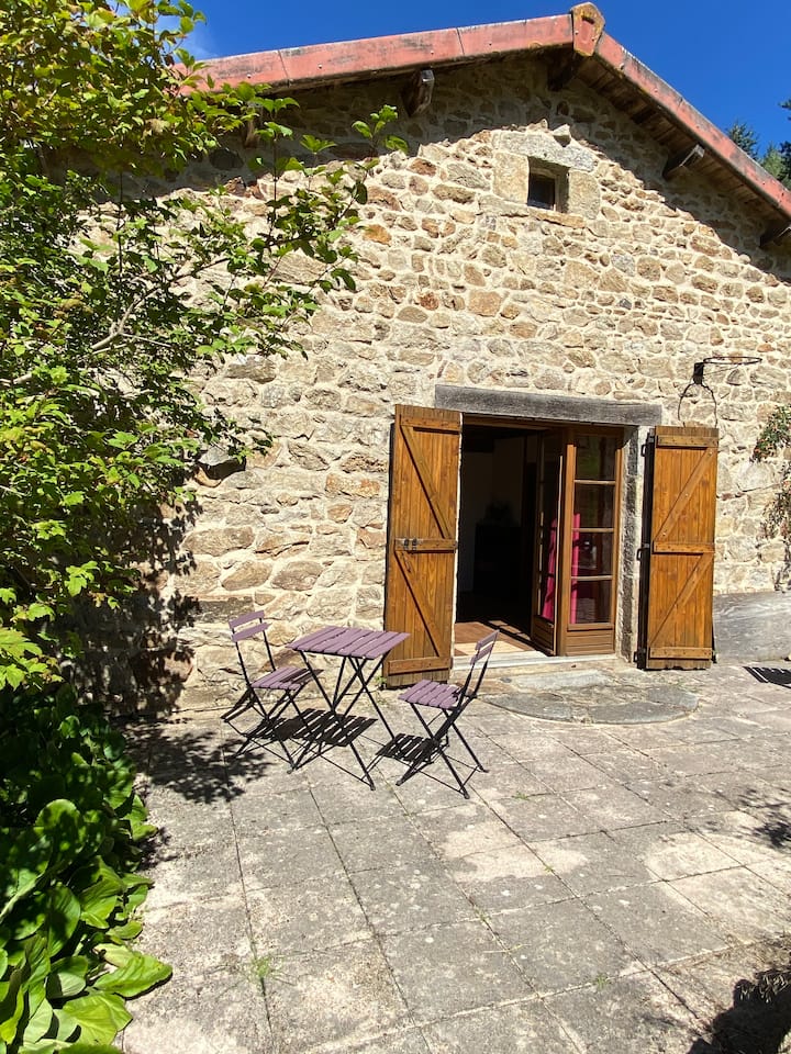 Maison De La Borie - Ambert