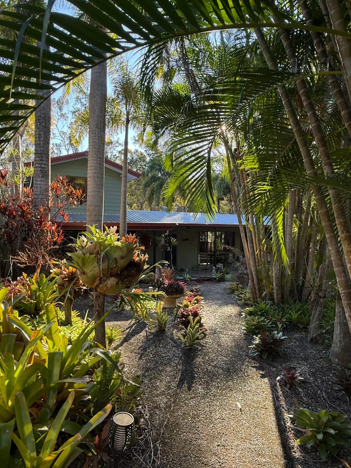 Paradise Palms - Seventeen Seventy