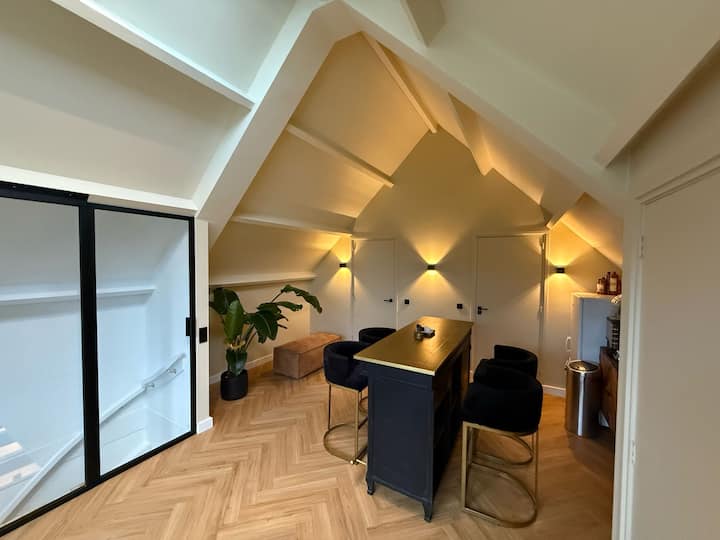 Appartement In Centrum Met Royaal Dakterras - 's-Hertogenbosch