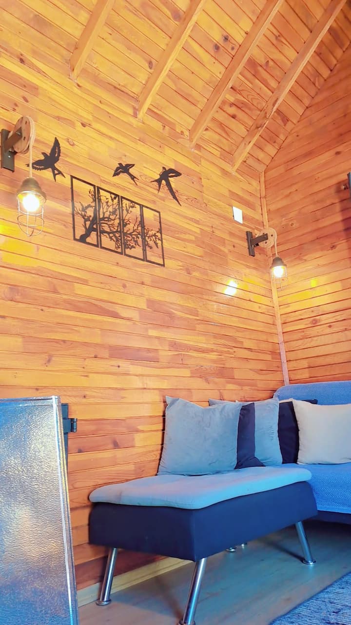 Lavinya House /Klima/havuz/bhçe/tv/gökyzü Pencresi - Urla
