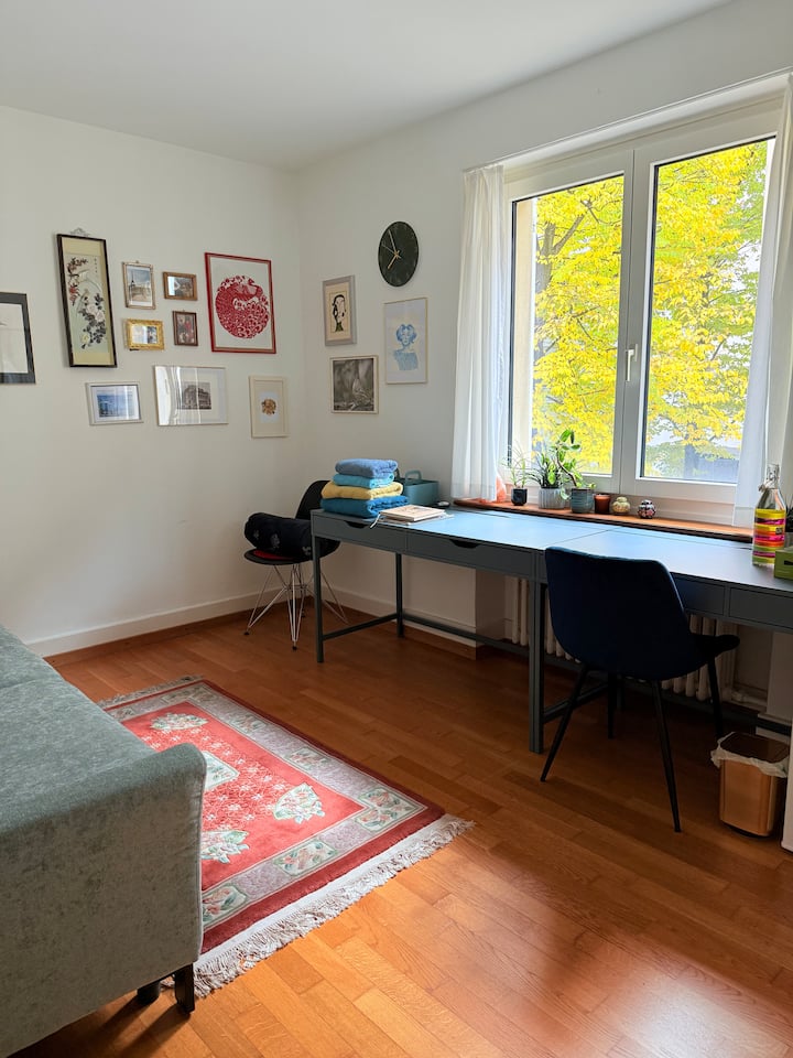 Charming Private Room On Zurich's Gold Coast - Zurich