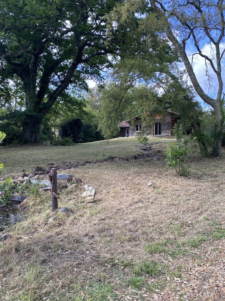 Le Tuc Lodge Suite Familiale - Messanges