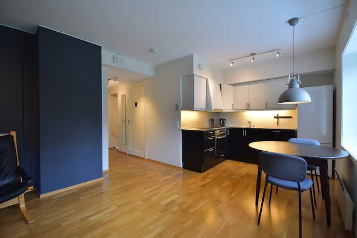 Sentral Og Fin Leilighet - Trondheim