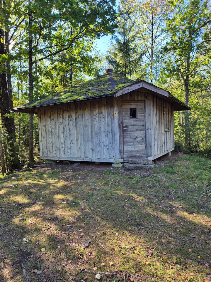 Wood Cabin In Untouched Forest - Smålandsstenar