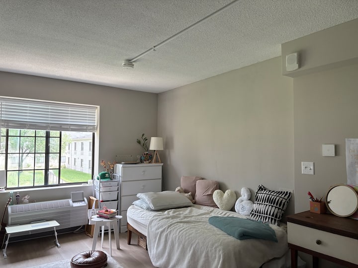 Studio Apartment - Madison, Wi - Madison, WI
