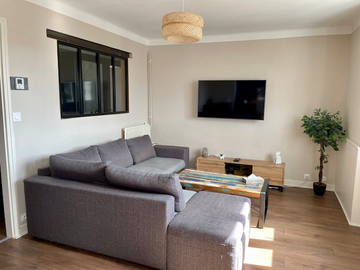 Appartement Avec Occupant à 4 Pattes - Saint-Brieuc