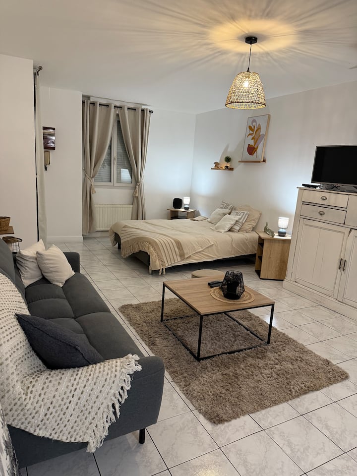 Grand Studio, Avec Cour. - Centro