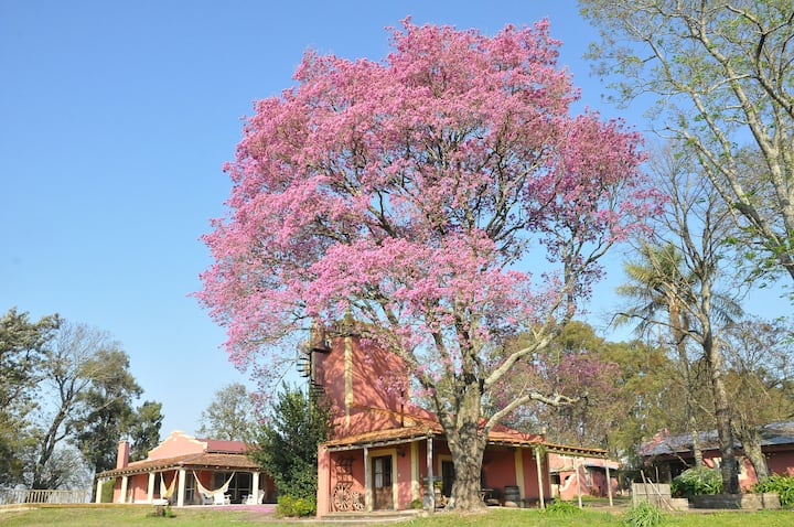 Estancia La Titina, Tu Refugio En La Naturaleza - Concepción del Uruguay