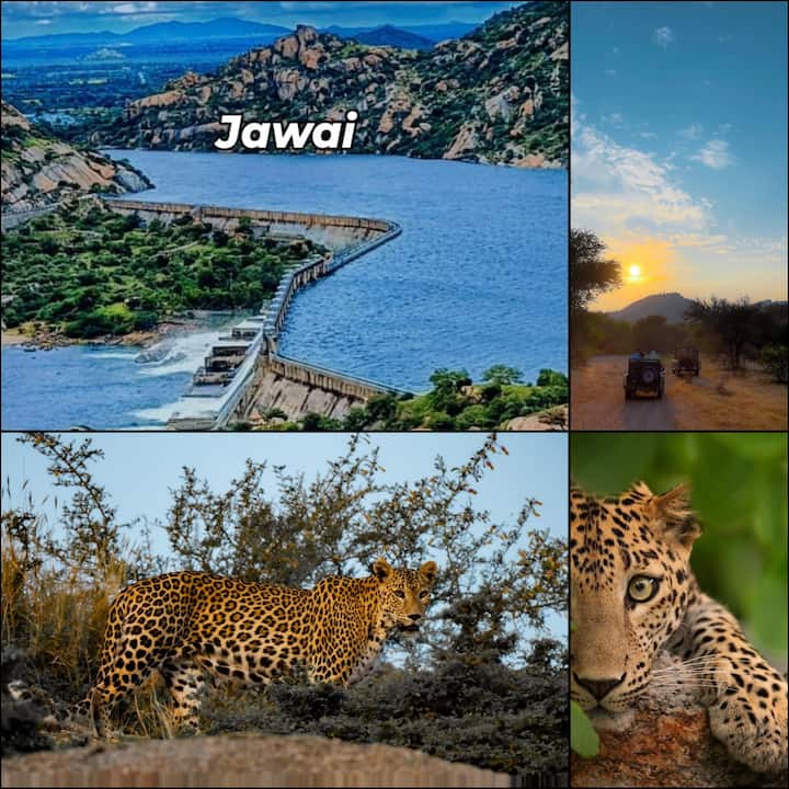 Jalsa Home Stay - Sumerpur