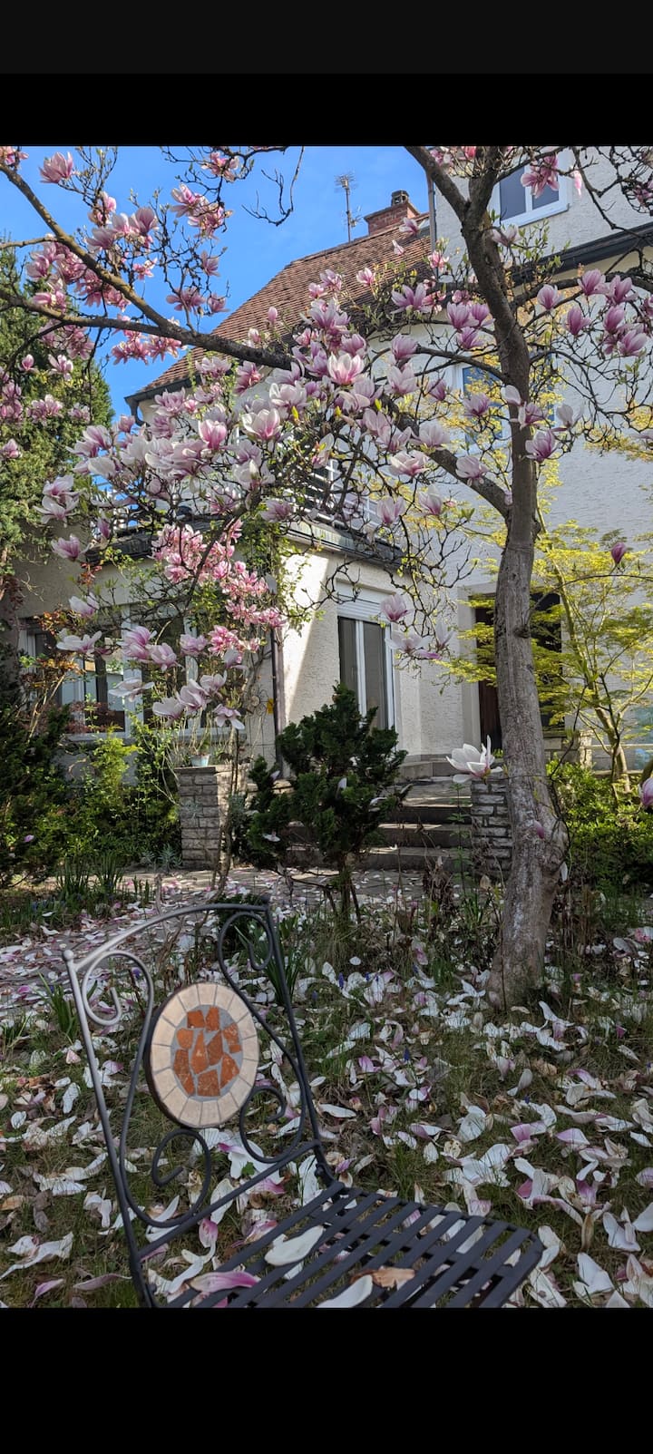 Charmante Wohnung Zum Start In Regensburg/mid Term - Regensburg