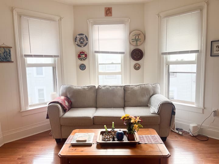 Light-filled Apartment Steps From Stadium - Ann Arbor, MI