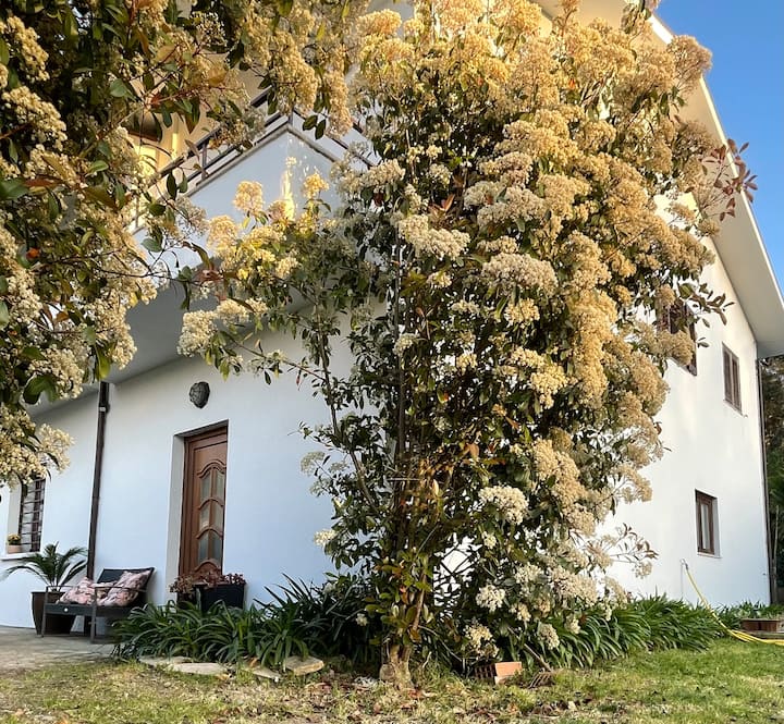 Santo Tirso Peaceful Refuge - Lousado