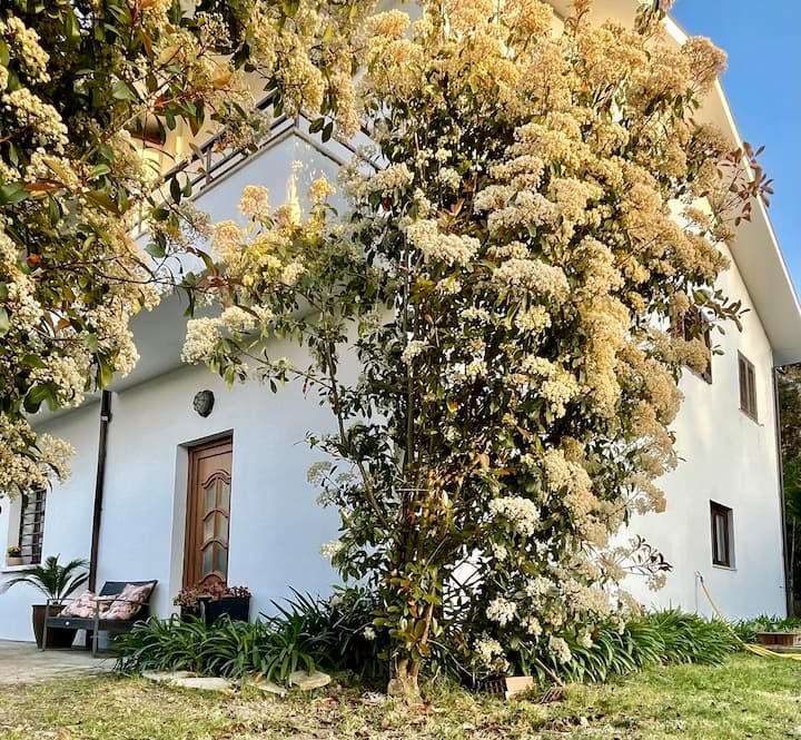Peaceful Refuge - Santo Tirso