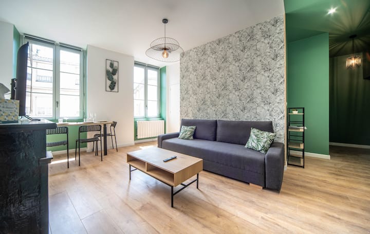 "Chez Sophie", Cocon Lumineux Au Cœur De Mâcon - Mâcon