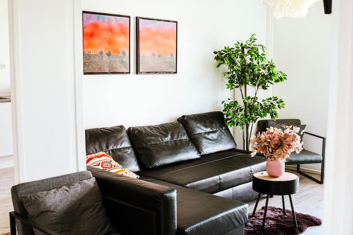 Très Grand Appartement - Villeurbanne