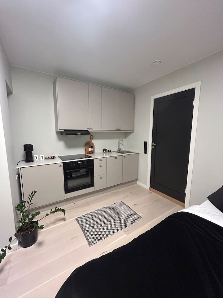 Modern And Stylish Studio - Oslo