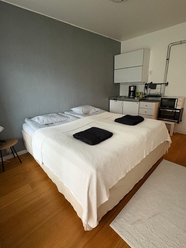 Cozy Studio Near The Metro Station - Helsinki