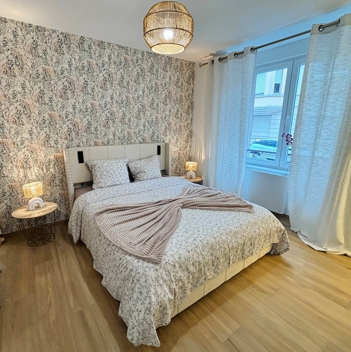 « Le Salvator » Mulhouse - ibis Mulhouse Ile Napoleon