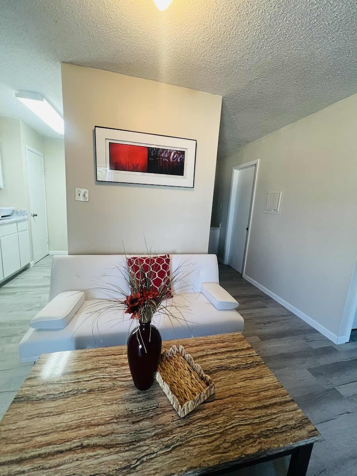 Affordable Modern Apartment Near A-state. - Jonesboro, AR