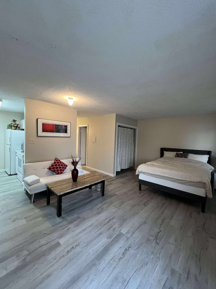 Affordable Modern Apartment Near A-state. - Jonesboro, AR