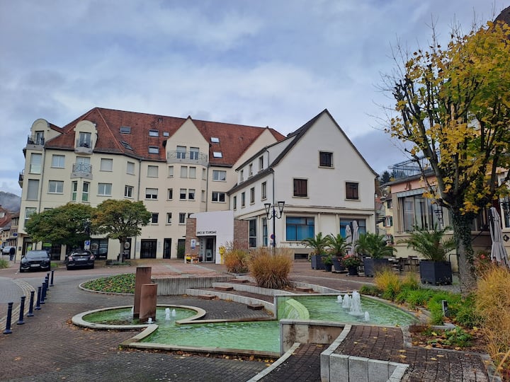 Meublé Du Centre-ville - Baerenthal