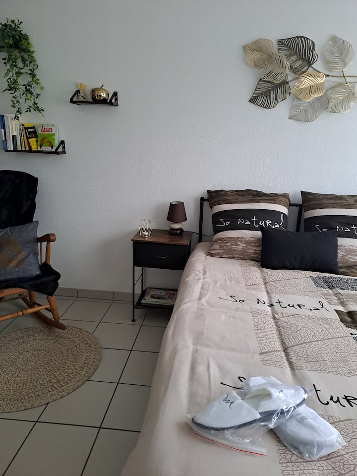 Meublé Du Centre-ville - Niederbronn-les-Bains