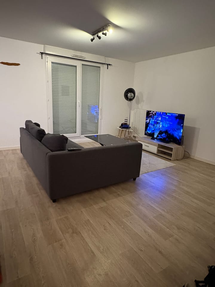 3 Chambres à 5 Minutes Du Métro Chu - Lille