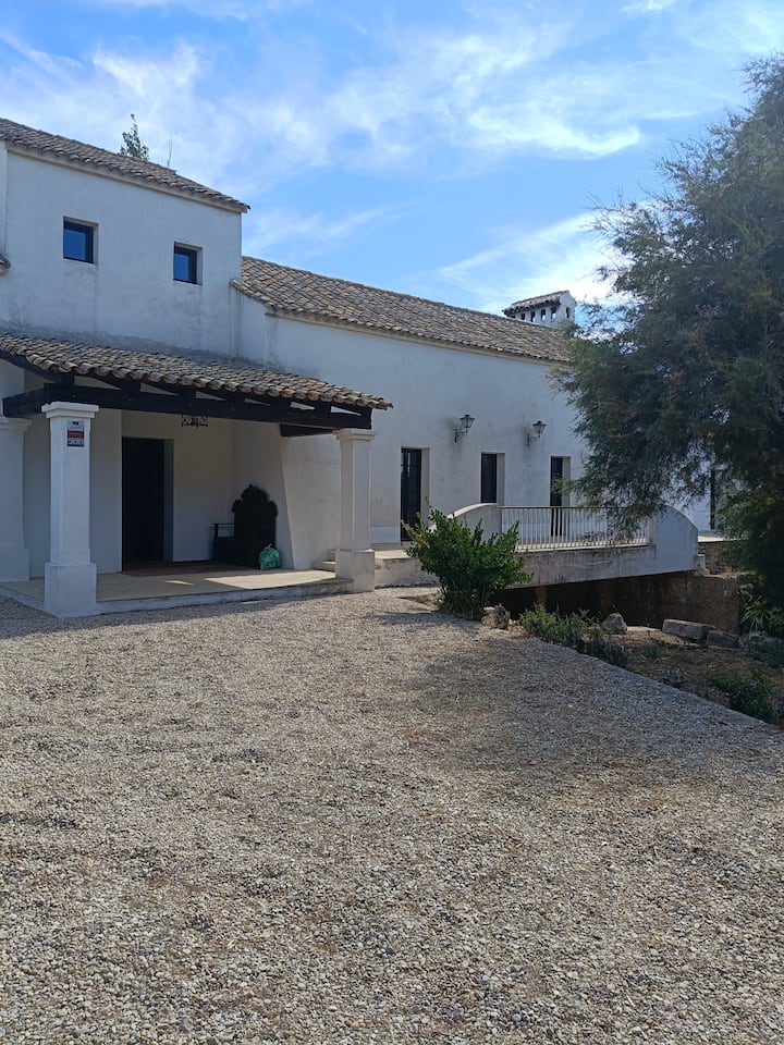 Finca El Molino Del Abogado - Alcázar de San Juan