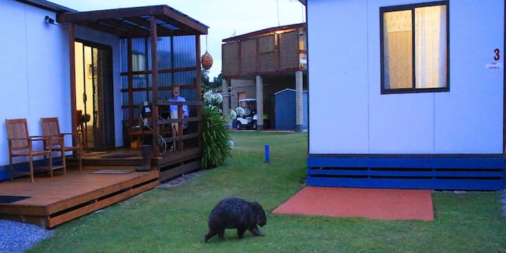 2 Bed Cabin - Beauty Point