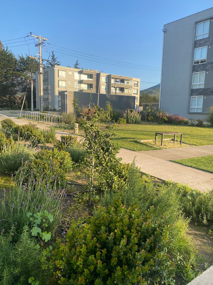 Departamento Lomas De Papudo - Zapallar