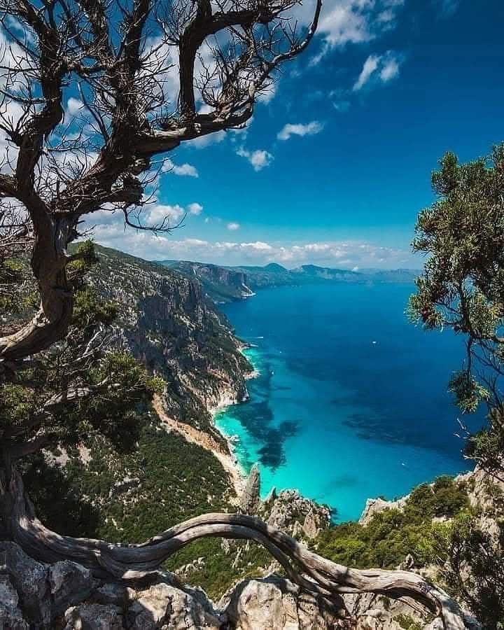 Casa Gaia. Wifi, A/c, Parcheggio Privato - Cala Gonone